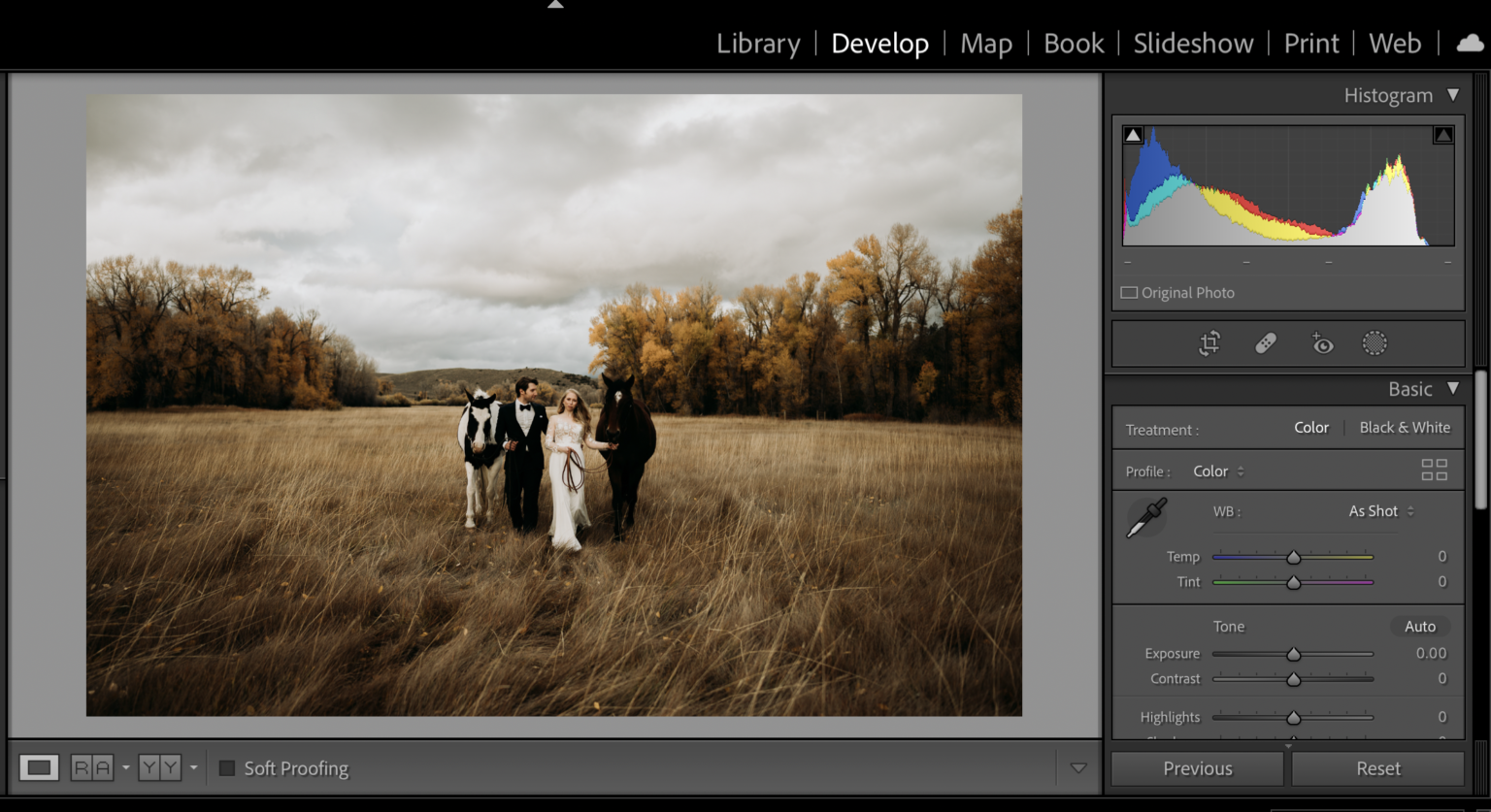 The Lightroom Histogram Explained | JPEGmini Blog